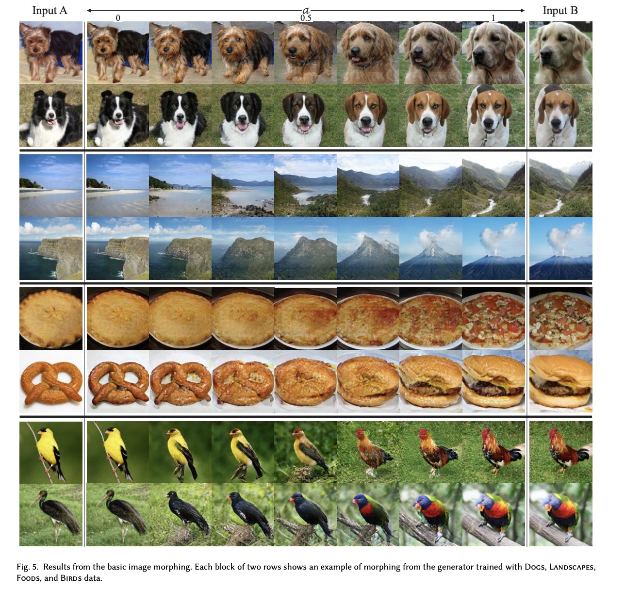 AK on Twitter: "Neural Crossbreed: Neural Based Image Metamorphosis pdf: https://t.co/apwLU9wUjL ...