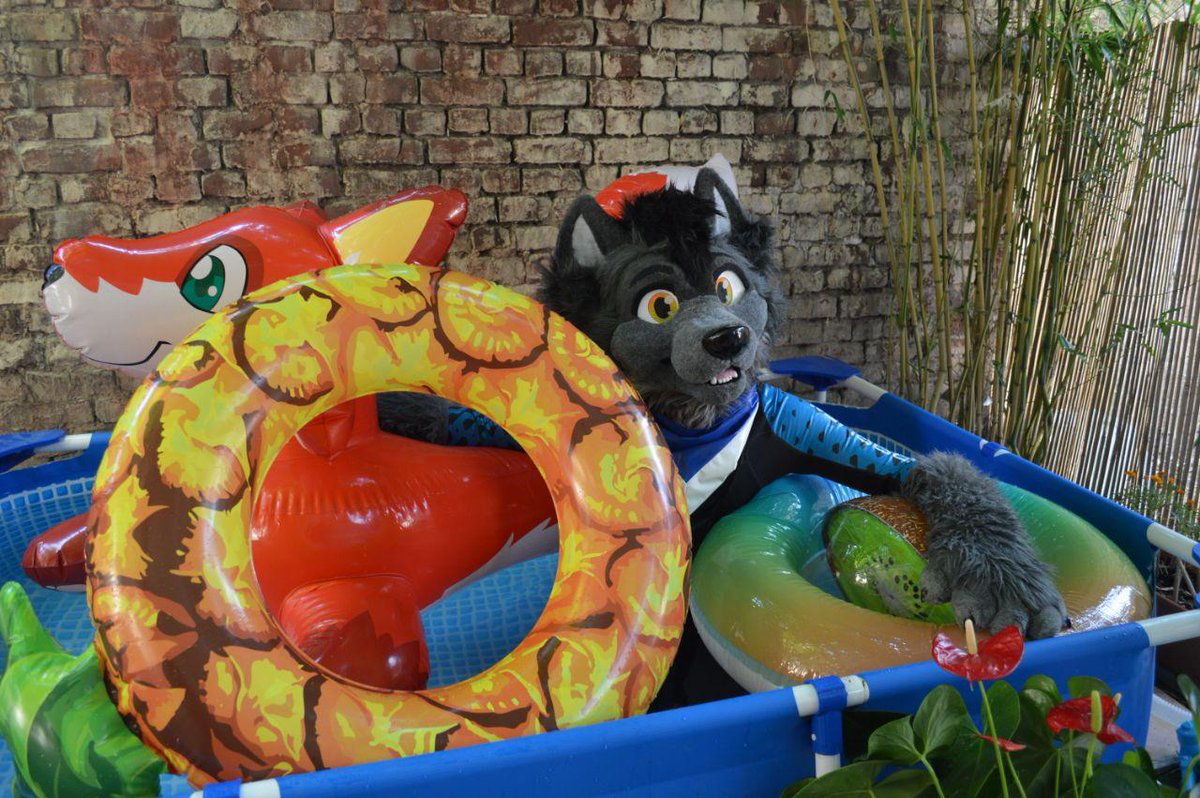 Szürky Farkas @EF26 @SzurkyWolf Timeline, The Visualized Twitter ...