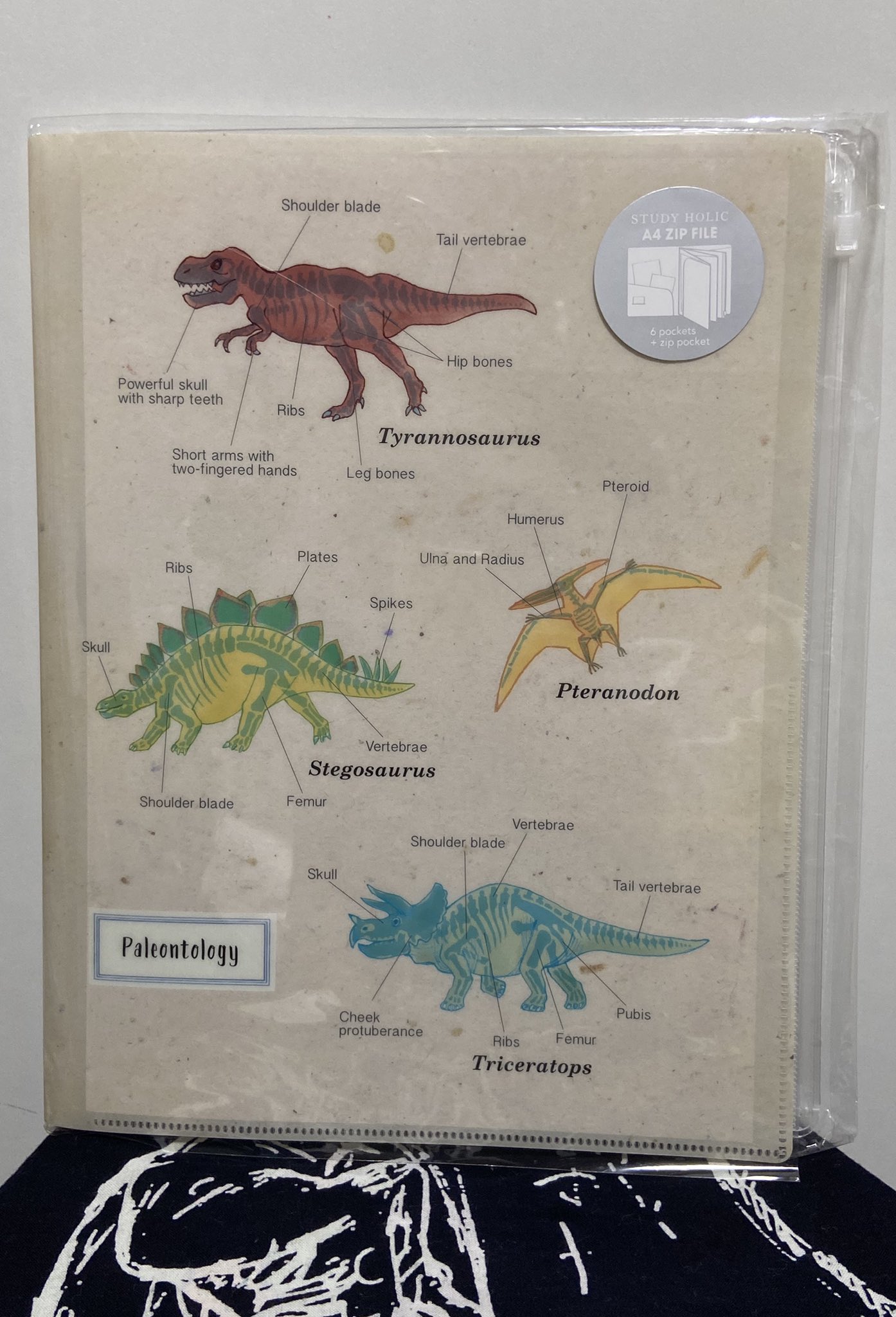 nisipedino on Twitter: "同じくSTUDY HOLIC A4 ZIPファイル 機能性に優れていて使いやすいです。 #恐竜グッズ #恐竜文房具 https://t.co ...