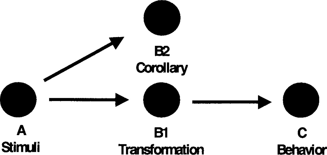 LCND on Twitter: "@KordingLab @DennisEckmeier I think the simple deCharms & Zador figure is ...