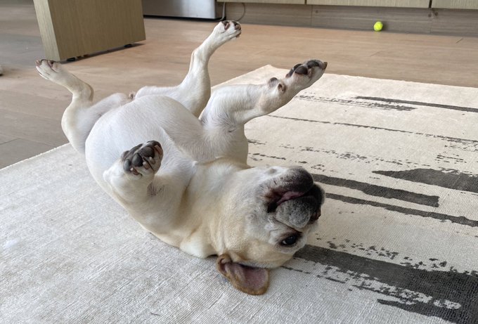 TW Pornstars - Heaux Cosmetics CEO Countess Lydia Dupra. The latest ...