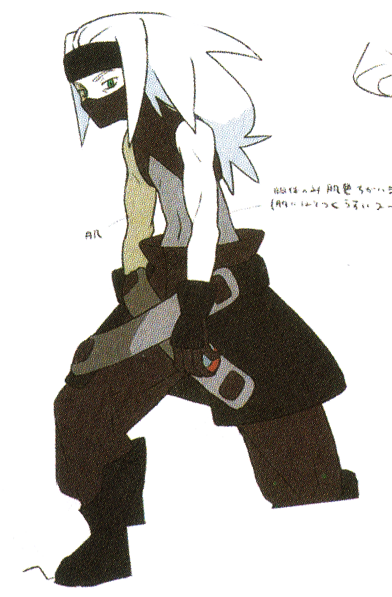 Pokemon Team Plasma Bw2