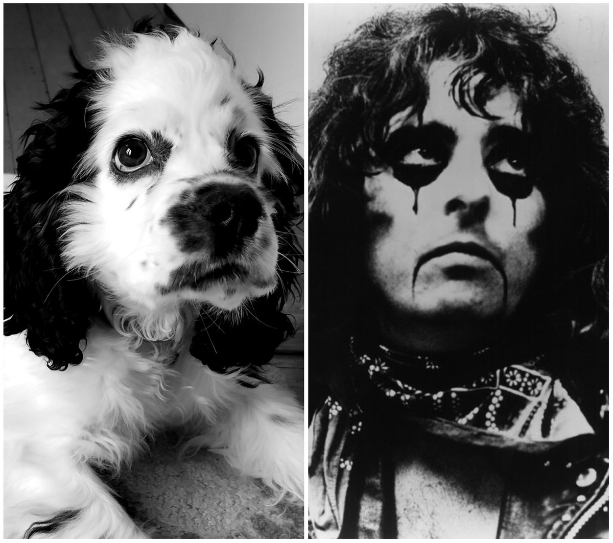 Kelli Kent's Instagram, Twitter & Facebook on IDCrawl