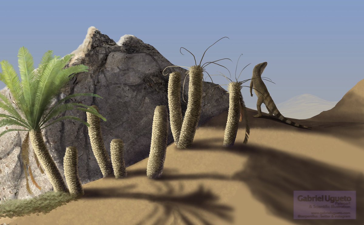 Twoucan - Gabriel N. U. (@SerpenIllus)