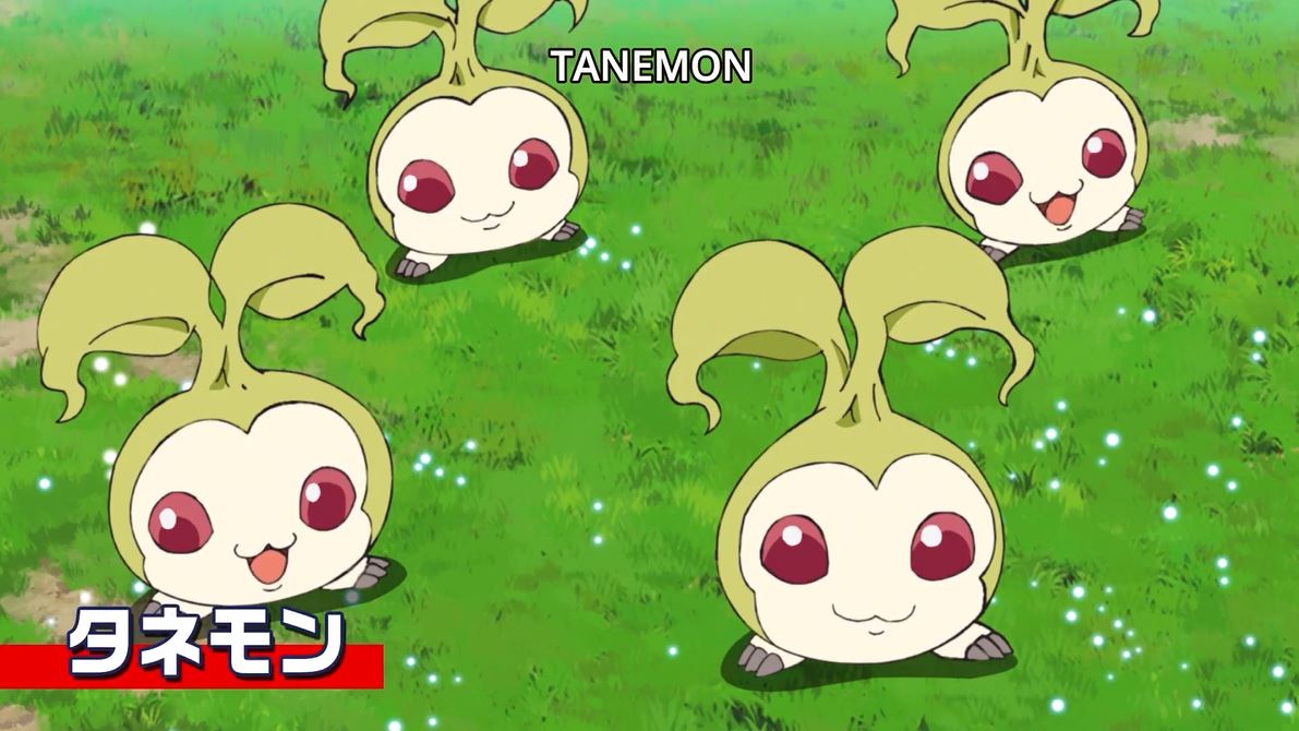 Digimon Tanemon