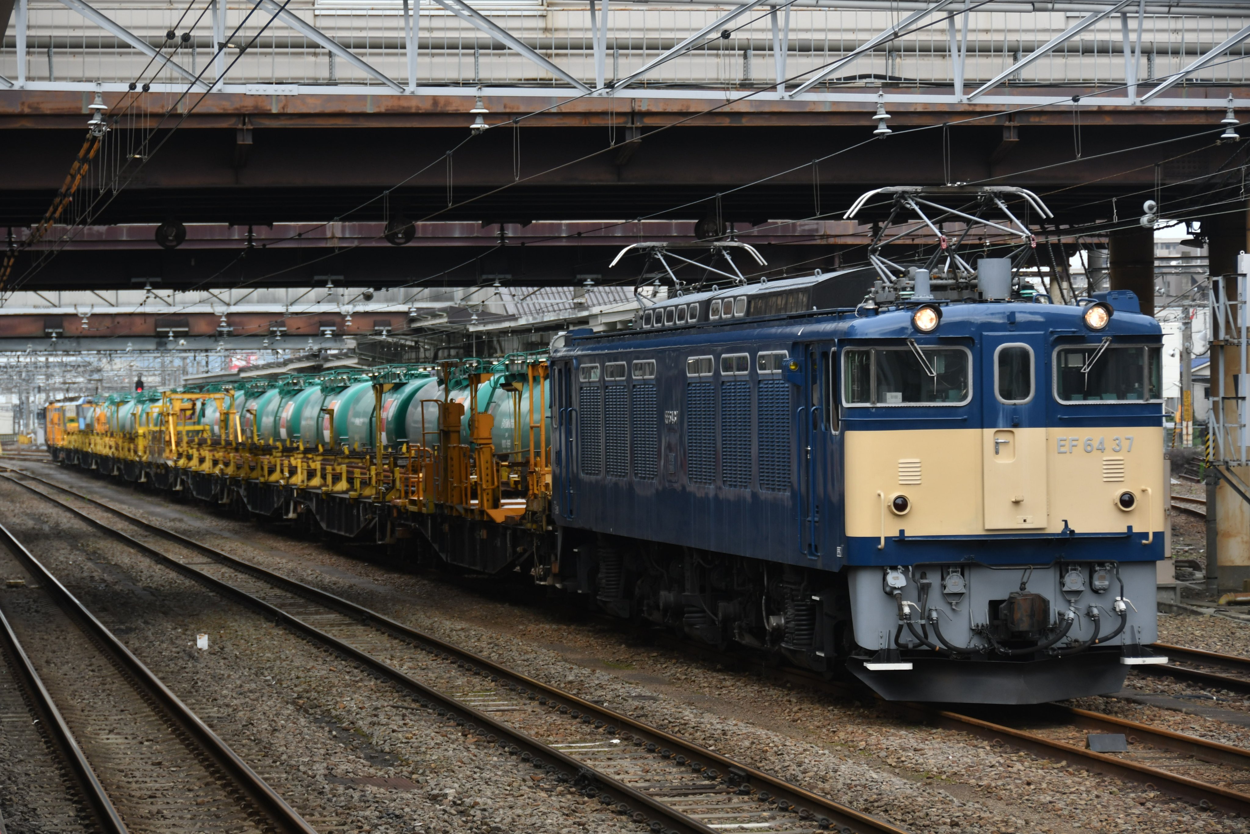 株式会社カツミ【公式】 on Twitter: "【池袋店】EF64 37~45号機 カツミ直営店最後の1品、EF64 37~45です。 写真は、実車で0番台最後の1両となりました37号機です ...