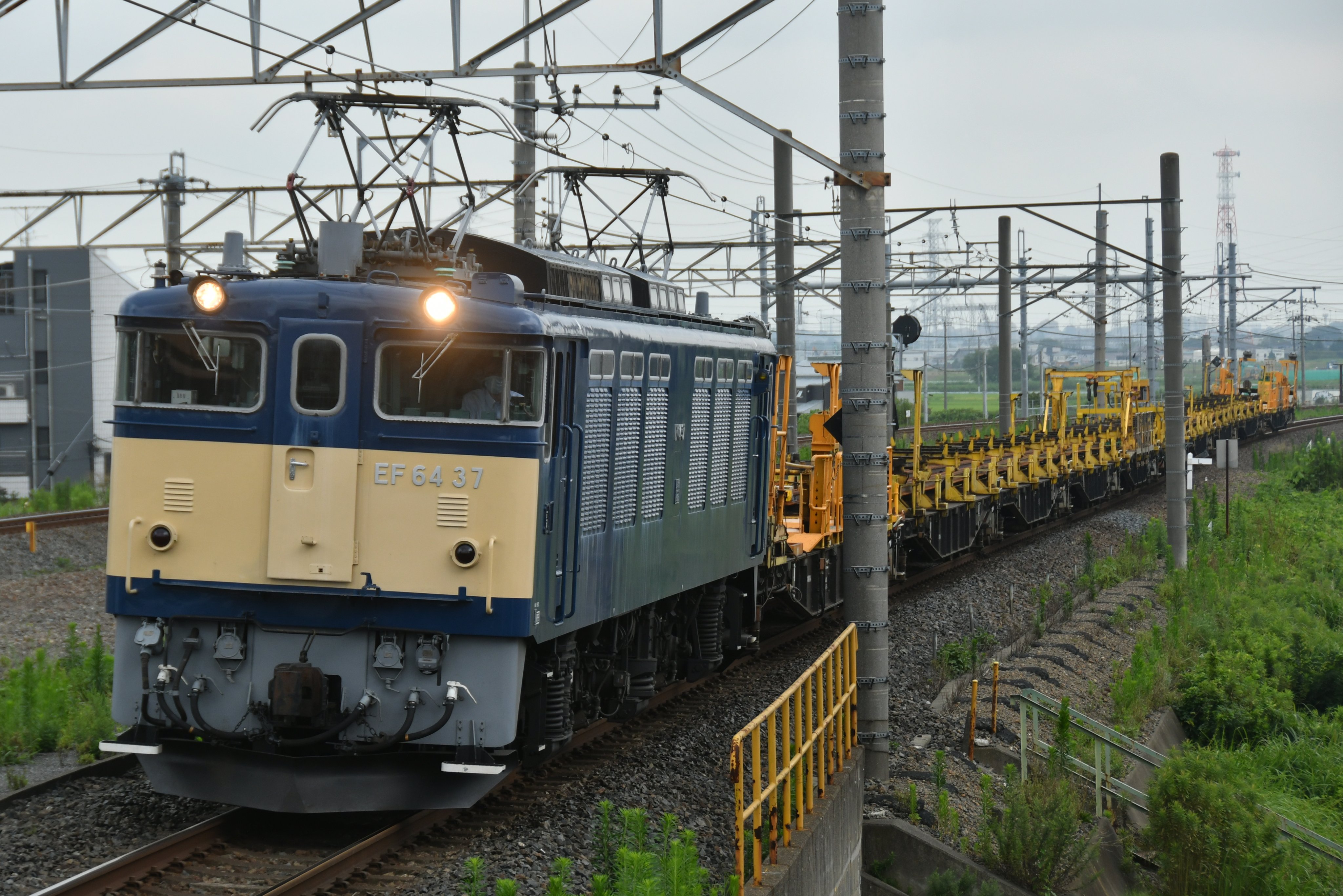 株式会社カツミ【公式】 on Twitter: "【池袋店】EF64 37~45号機 カツミ直営店最後の1品、EF64 37~45です。 写真は、実車で0番台最後の1両となりました37号機です ...