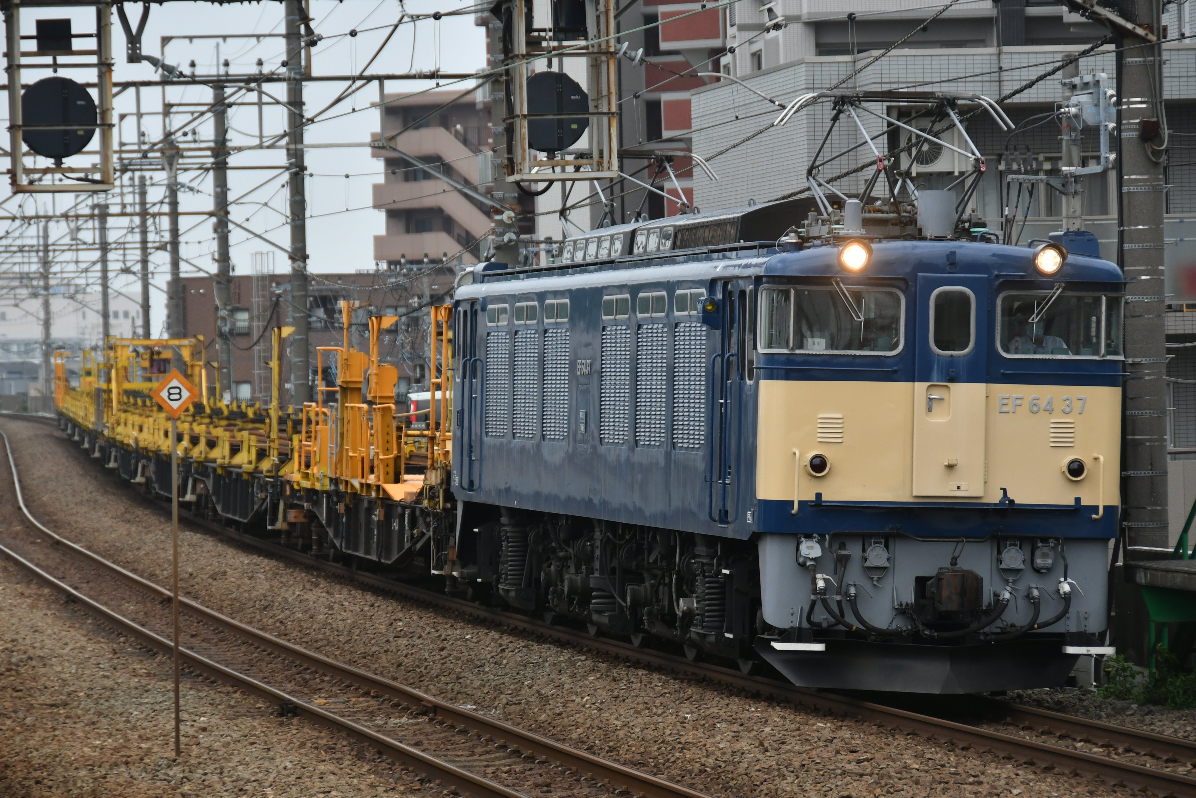 株式会社カツミ【公式】 on Twitter: "【池袋店】EF64 37~45号機 カツミ直営店最後の1品、EF64 37~45です。 写真は、実車で0番台最後の1両となりました37号機です ...