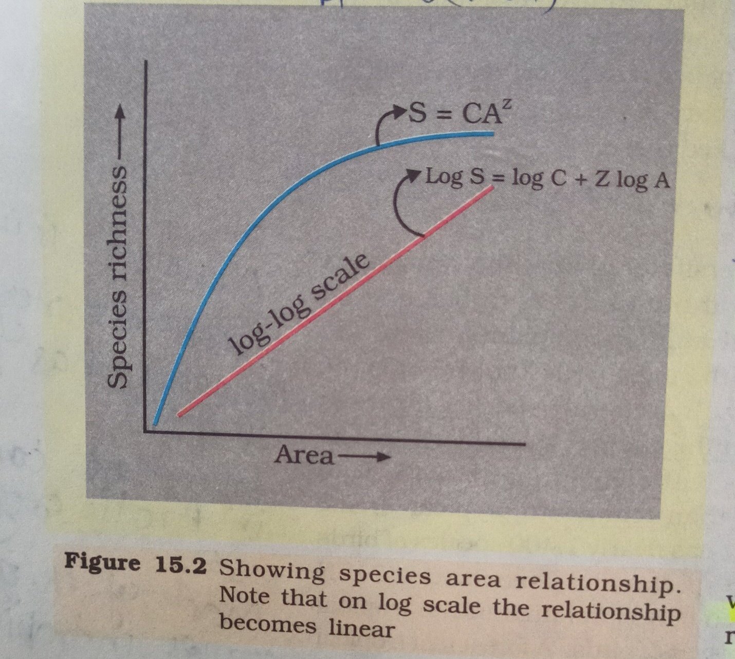 Steeper Slope Definition