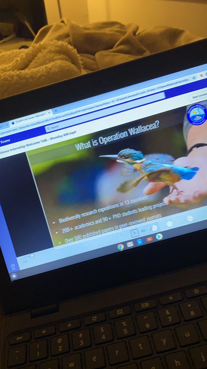 Brian Beehler (@BrianBeehler2) | Twitter