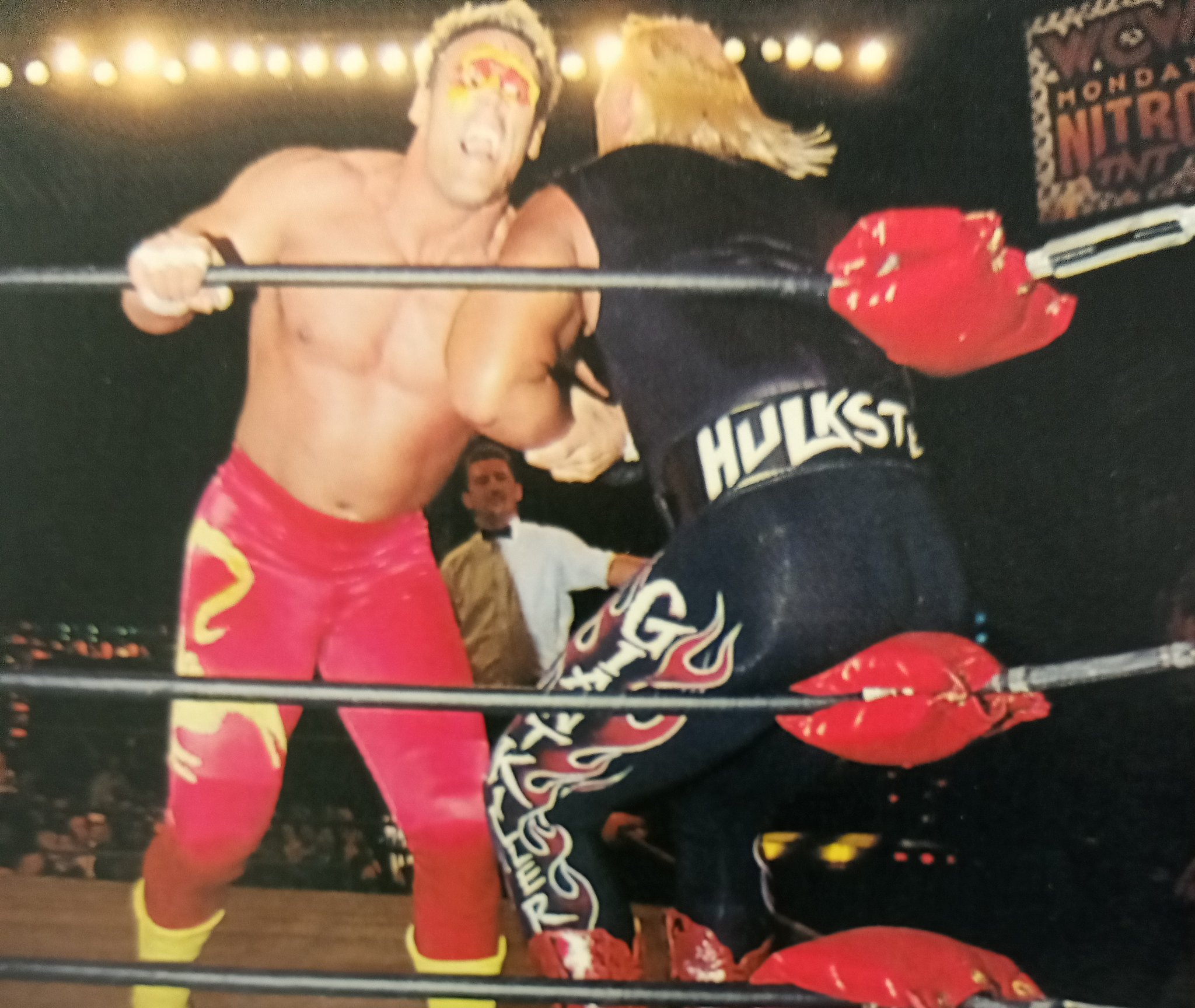 Sting Vs Hogan