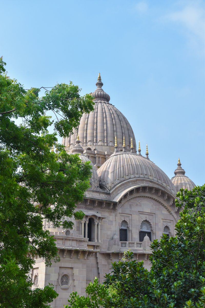 Deepa Saha (@DeepaSaha18) | Twitter