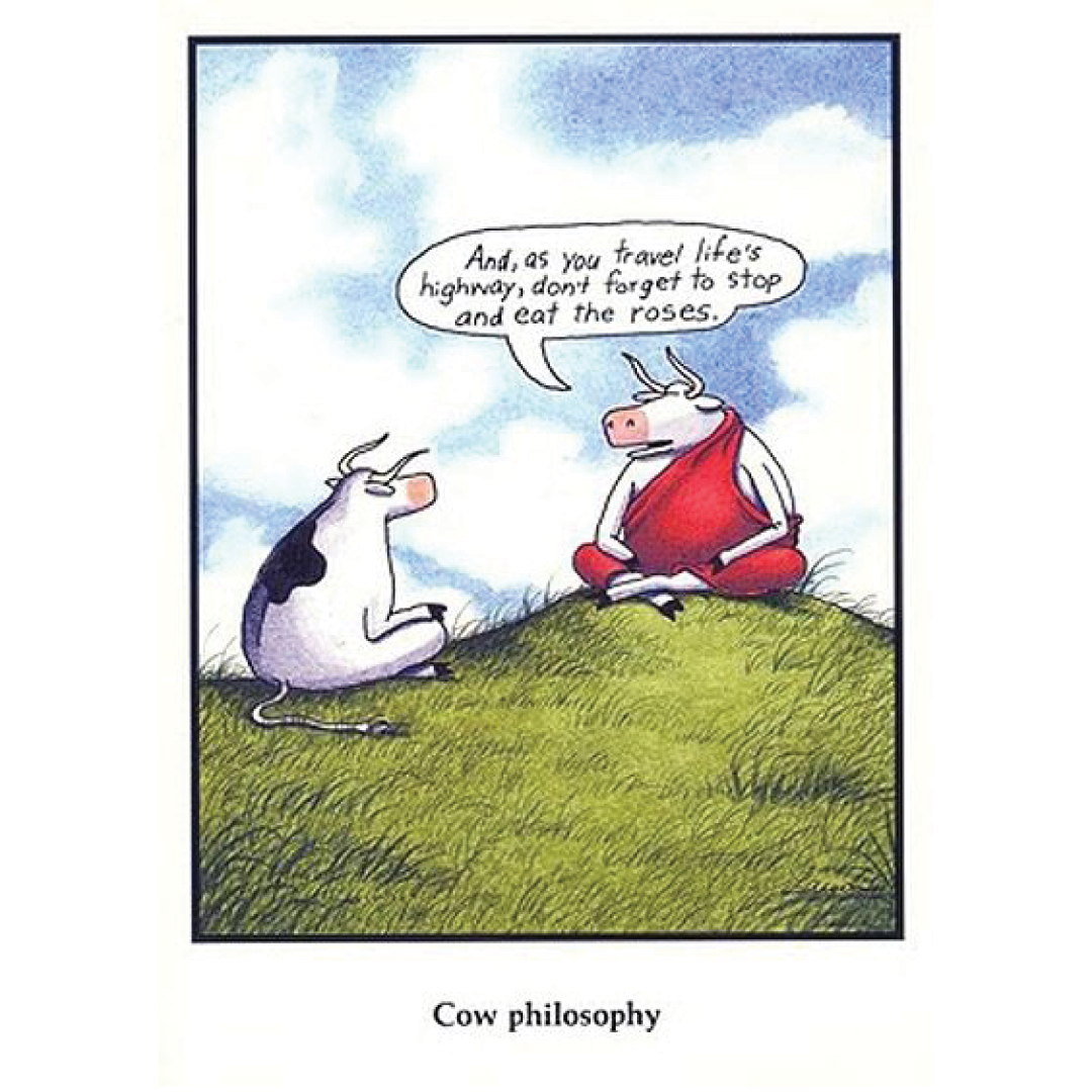 Gary Larson Birthday Cards