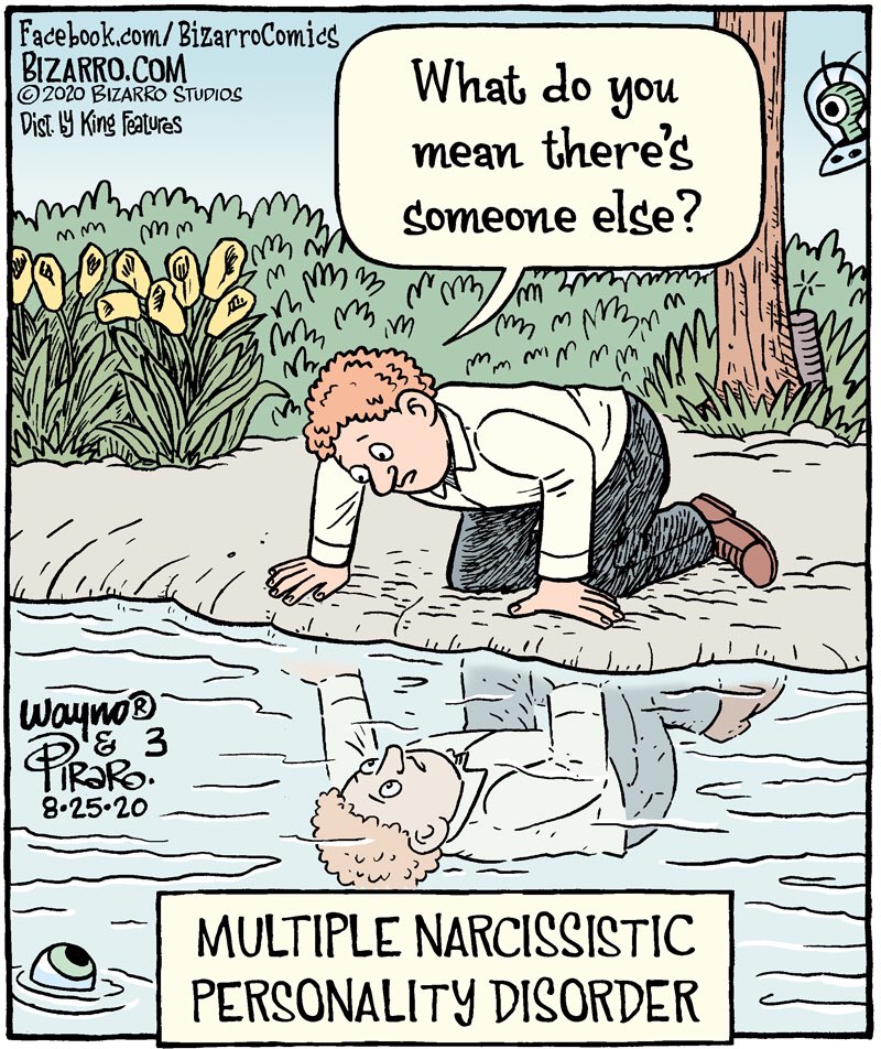 Narcissism Comic