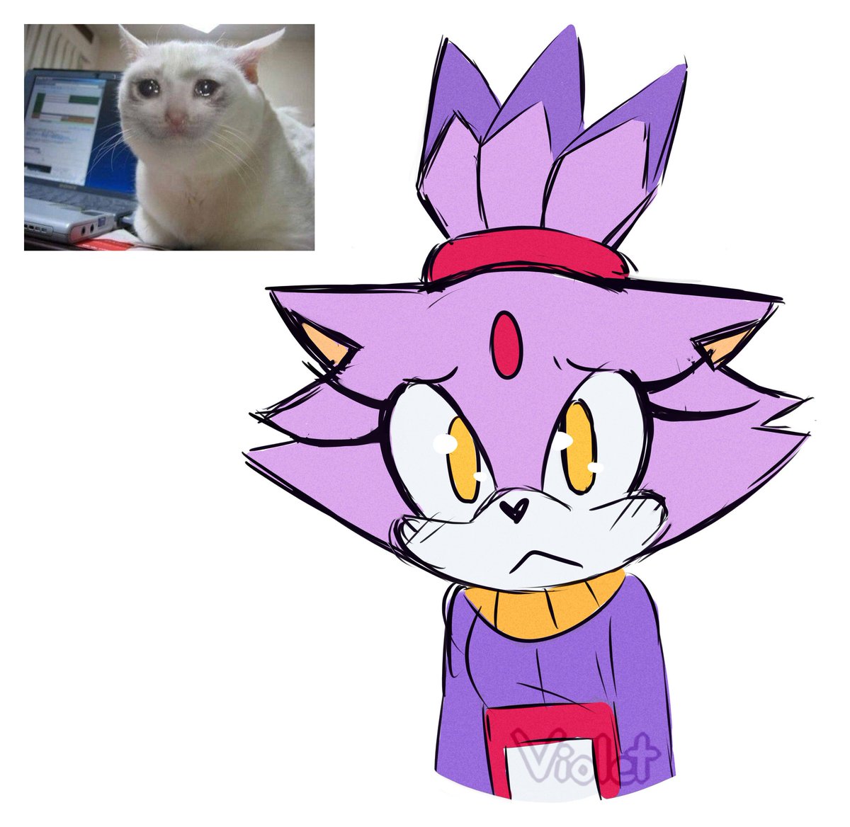 Blaze Memes Am I Weird? Funny Post Imgur