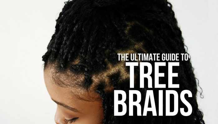 Tree Braids Natural Hair