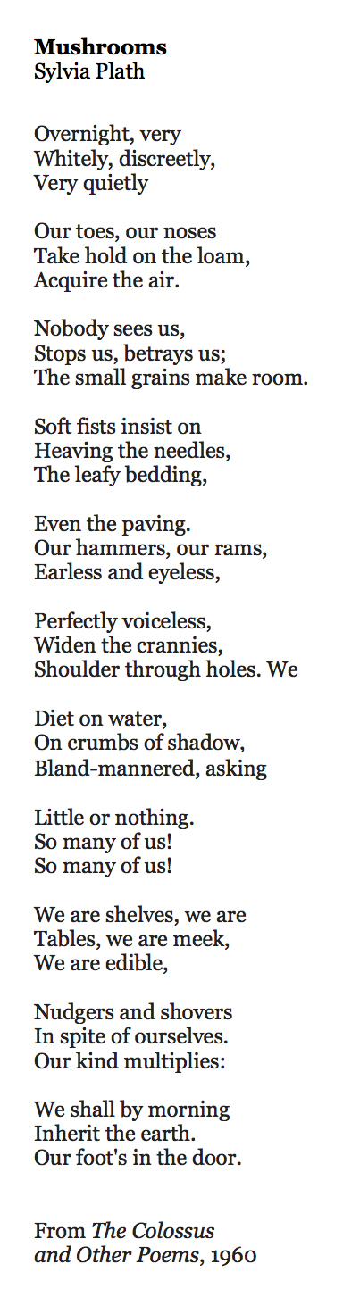 A tempest in a beanpot – The Secret Expat