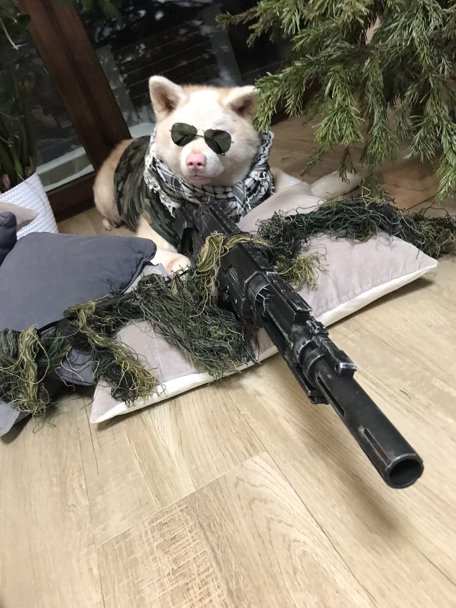 Dogs With Snipers