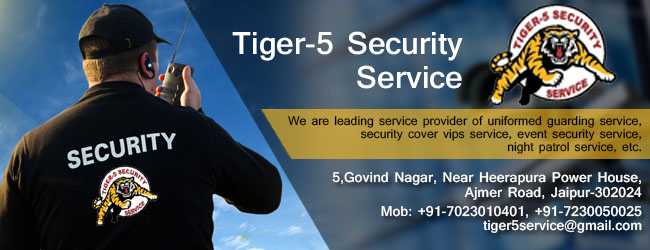 Tiger Security Services Logo