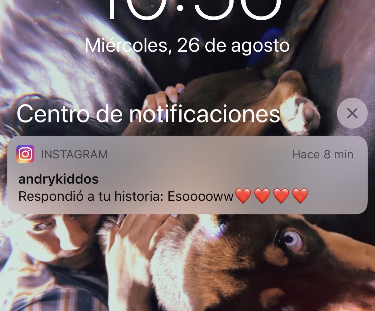 Reyna Abundo (@reyna_abundo) | Twitter