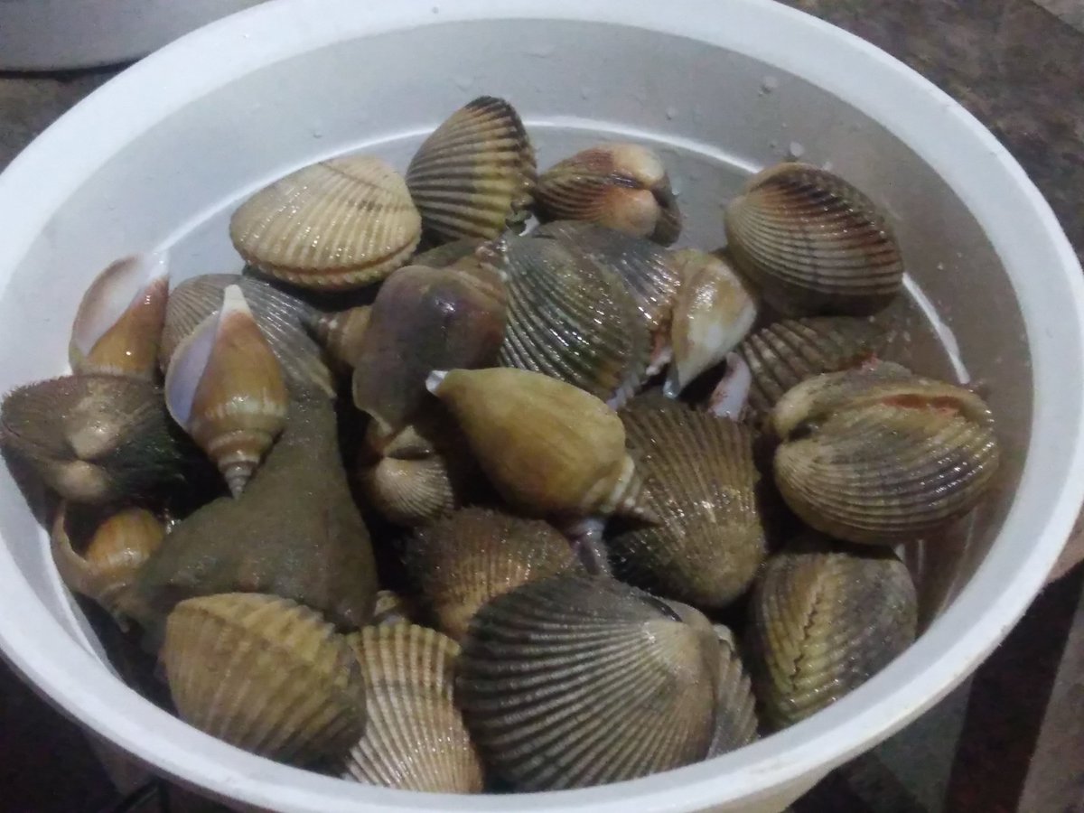 Pookie Yupadee (@PookieYupadee) | Twitter