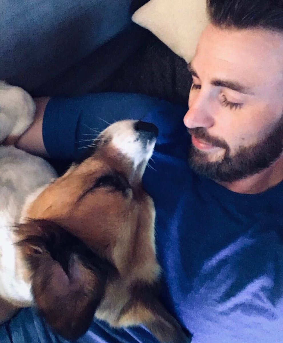 Ahnaf Taseen (@phoenixinlinux) | Twitter