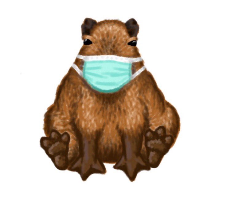Capybaras on Twitter: "hey everybody! a new design just launched in our shop. check it out here ...