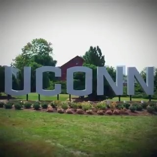 Next on our traditions list, taking an Instagram worthy pic in front of ...