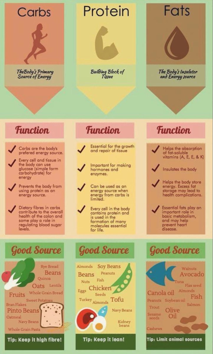 Protein Function In The Body