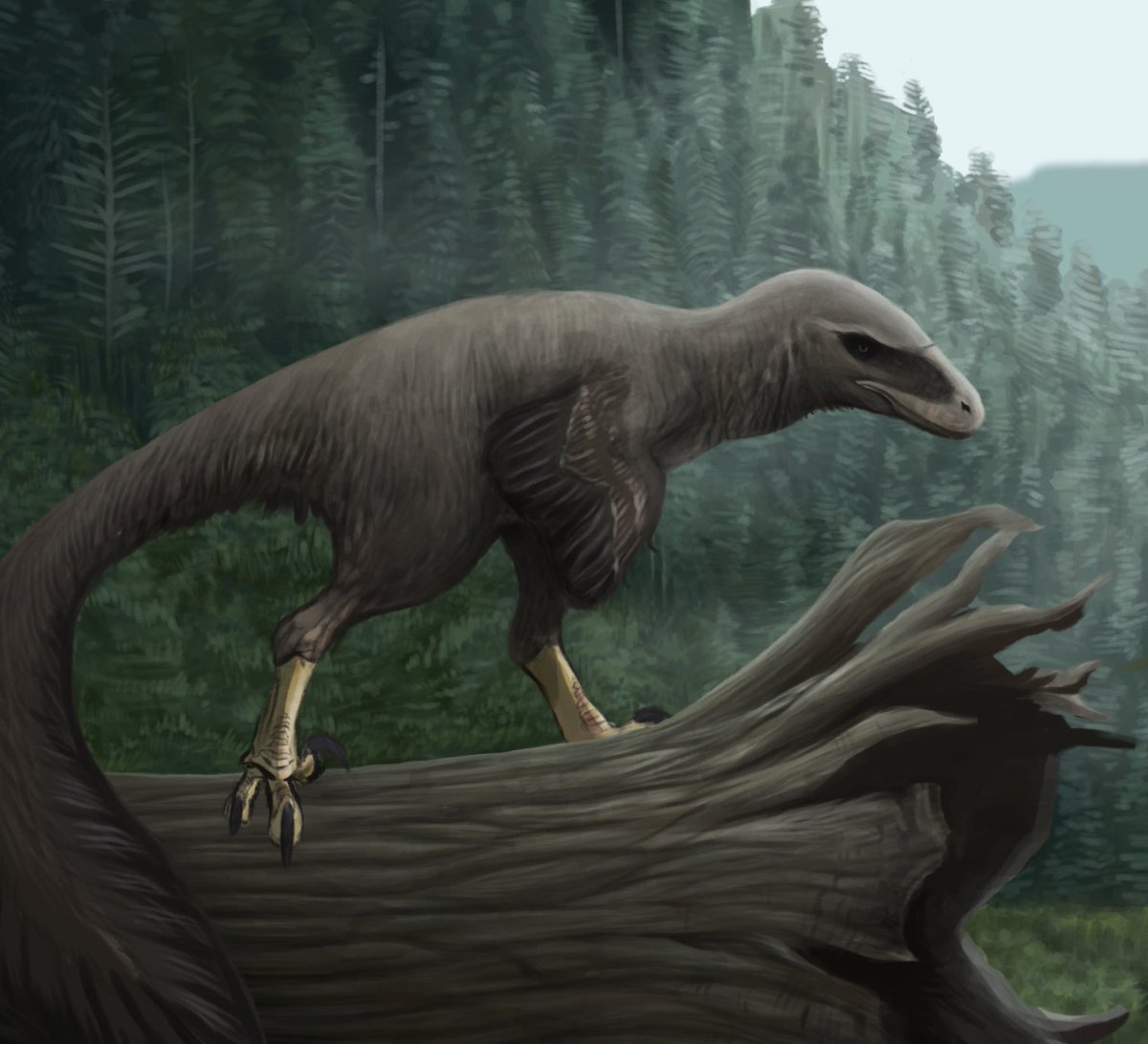 Cameron Dillon (@Cam_ornitho) さんのイラスト・マンガ作品まとめ (4 件) - Twoucan