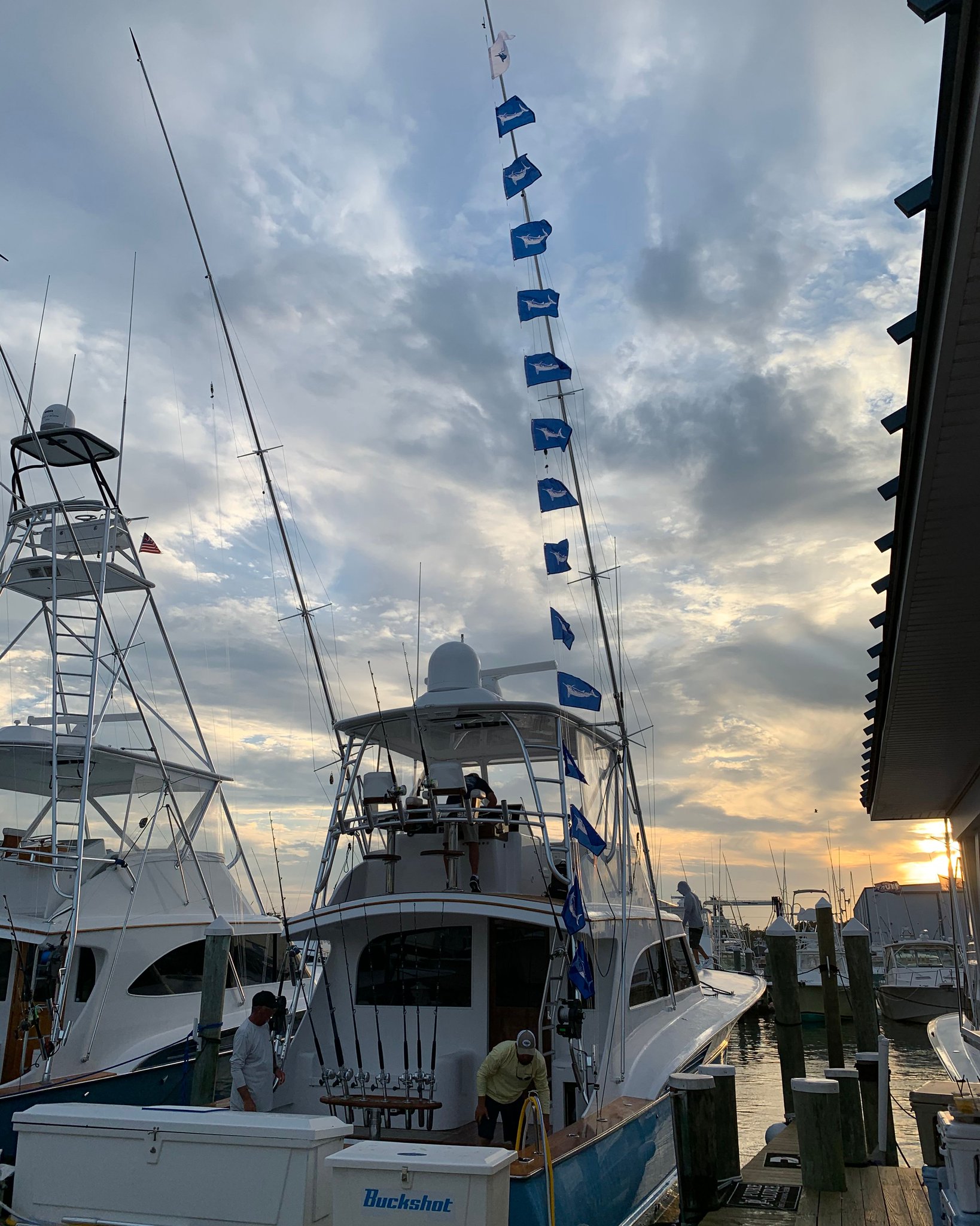 Billfish Report – The Only Daily International Billfishing Report