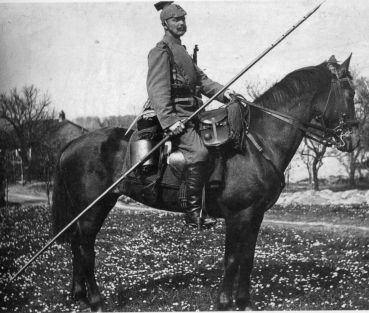 German War Horse