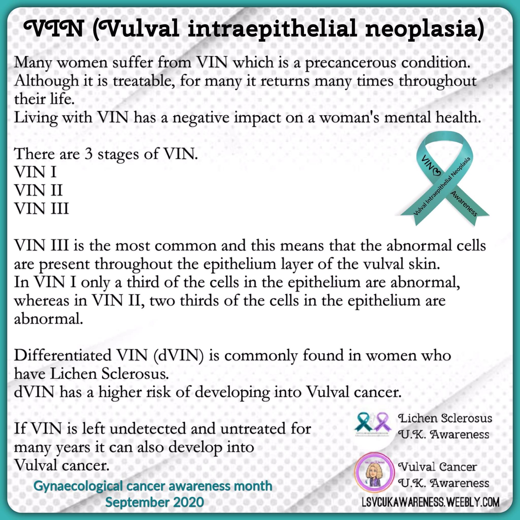 Vulvar Intraepithelial Neoplasia (vin)