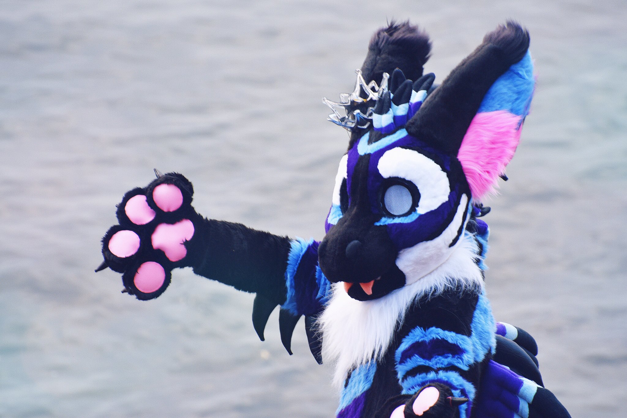 Angel Dragon Fursuit