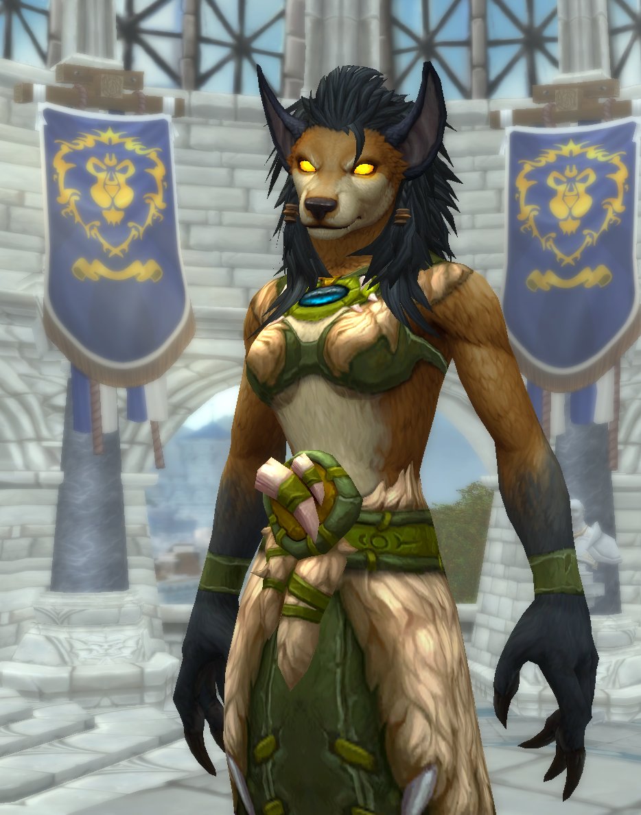 World Of Warcraft Worgen Druid