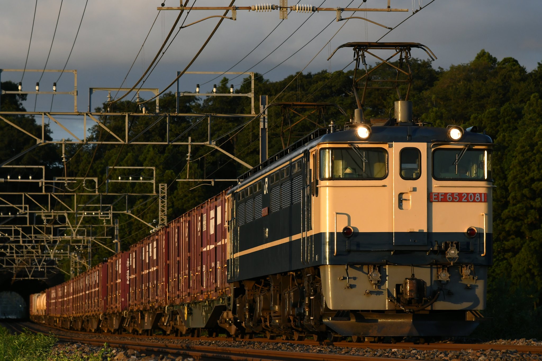 4074（まさBJ）2 on Twitter: "8/28 本日の撮影 1092レ 鹿島貨物 EF65-2081① モノサクもそろそろシーズンオフですが、交検コキ無し良積載で記録出来たので満足 ...