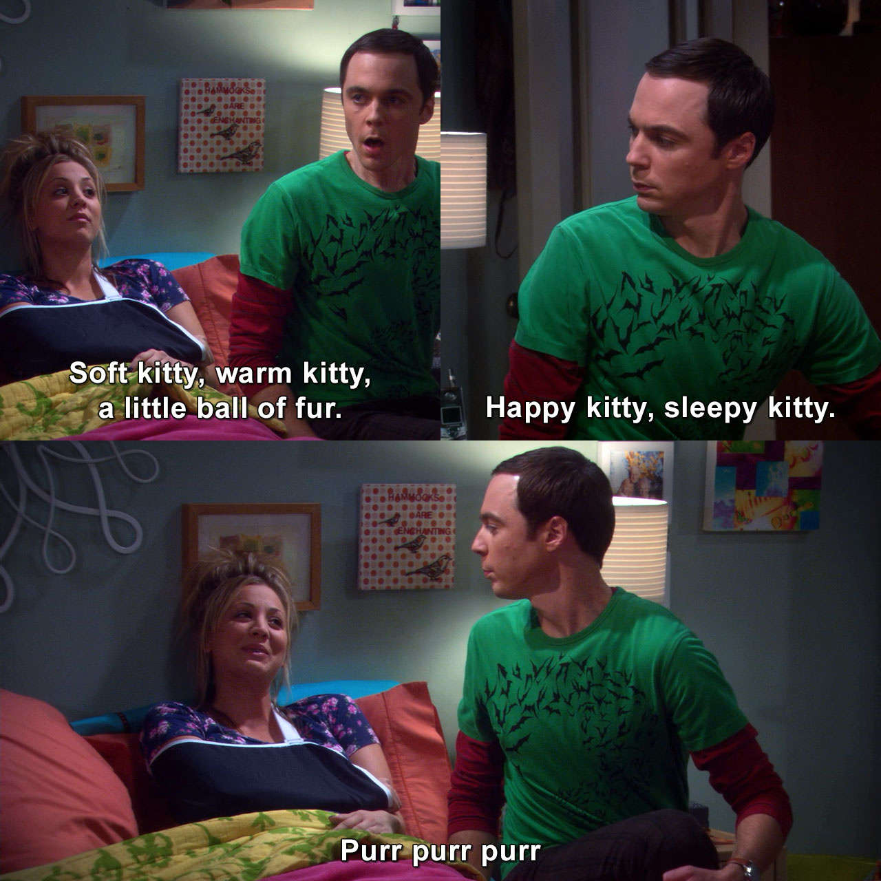 Sheldon Cooper And Penny Quotes