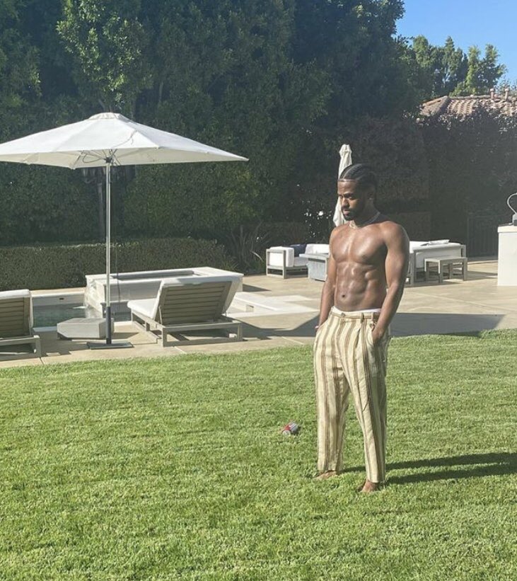 Big Sean Body