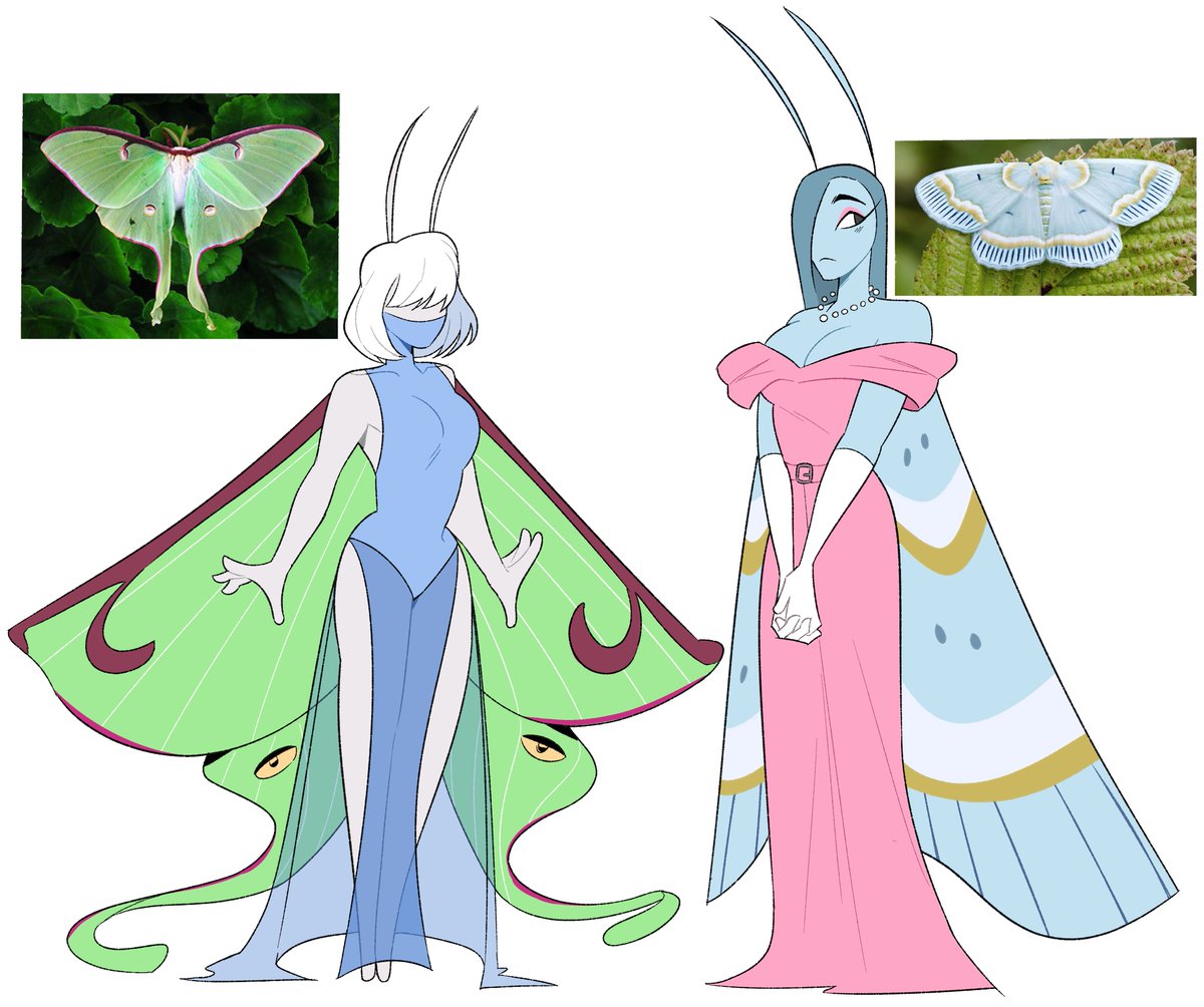 Twoucan - Bug Enthusiast 🦋 Save ROTTMNT (@Idolomantises)