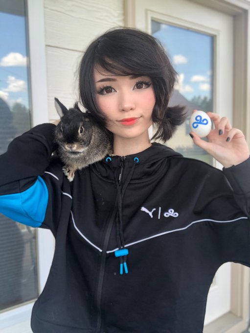 Twoucan - c9 egg (@emiru)