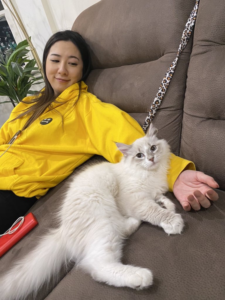 100T Peter Park on Twitter: "They do be vibin https://t.co/qDrPbvaZIU" / Twitter