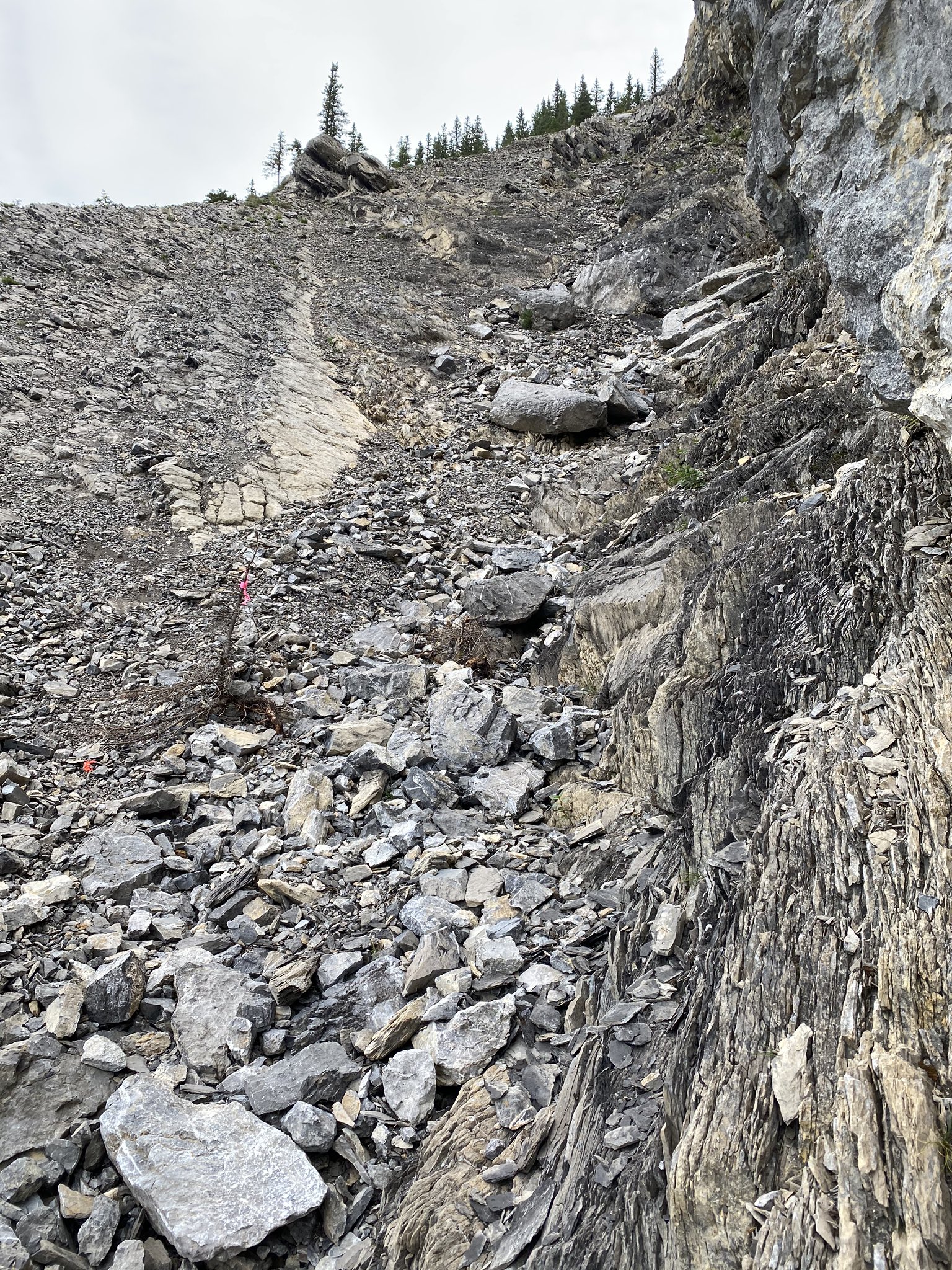 💖🤍💙SlushyOtter🦦 on Twitter: "Crossing ridge after ridge. Until we are met with this. Now this ...