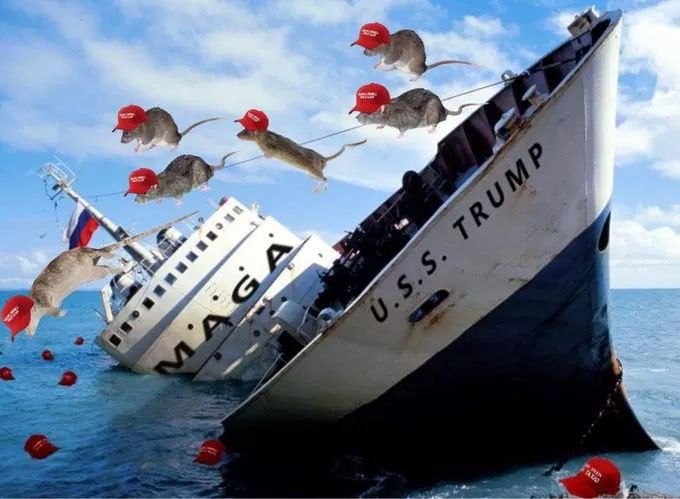 Rats Jumping Ship