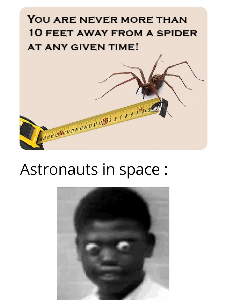 Winged Spider Memes