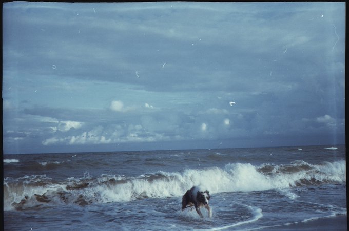 Twoucan - 6VCR (@sixveeceear)