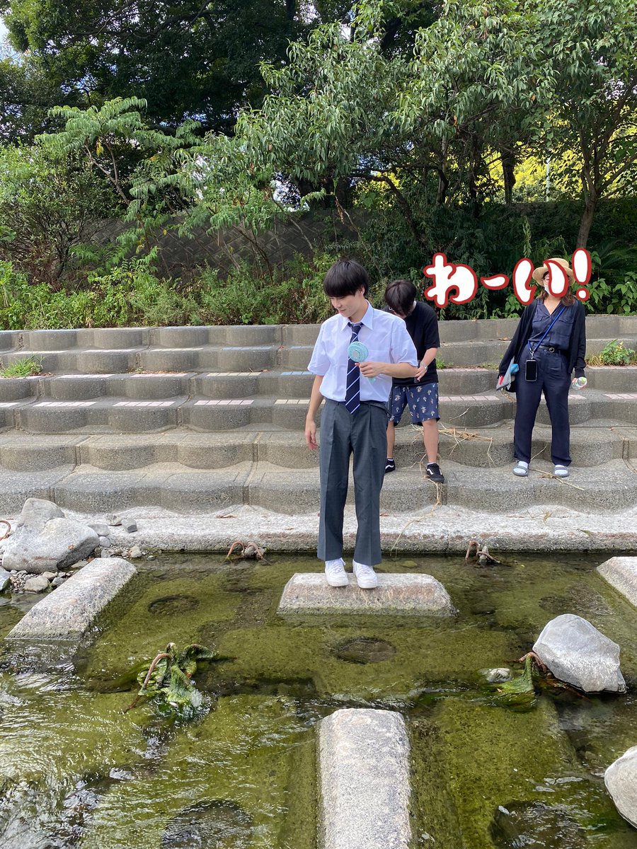 ひびきちゃーん (@Aveliayukimura) | Twitter