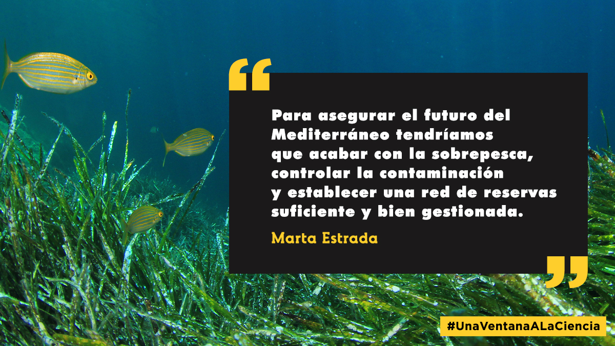 Total 59 Imagen Frases Sobre El Mediterraneo Abzlocal Mx