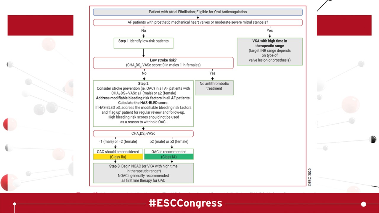 Chadsvasc Calculator Future Perspectives To Improve CHA2DS2VASc Score