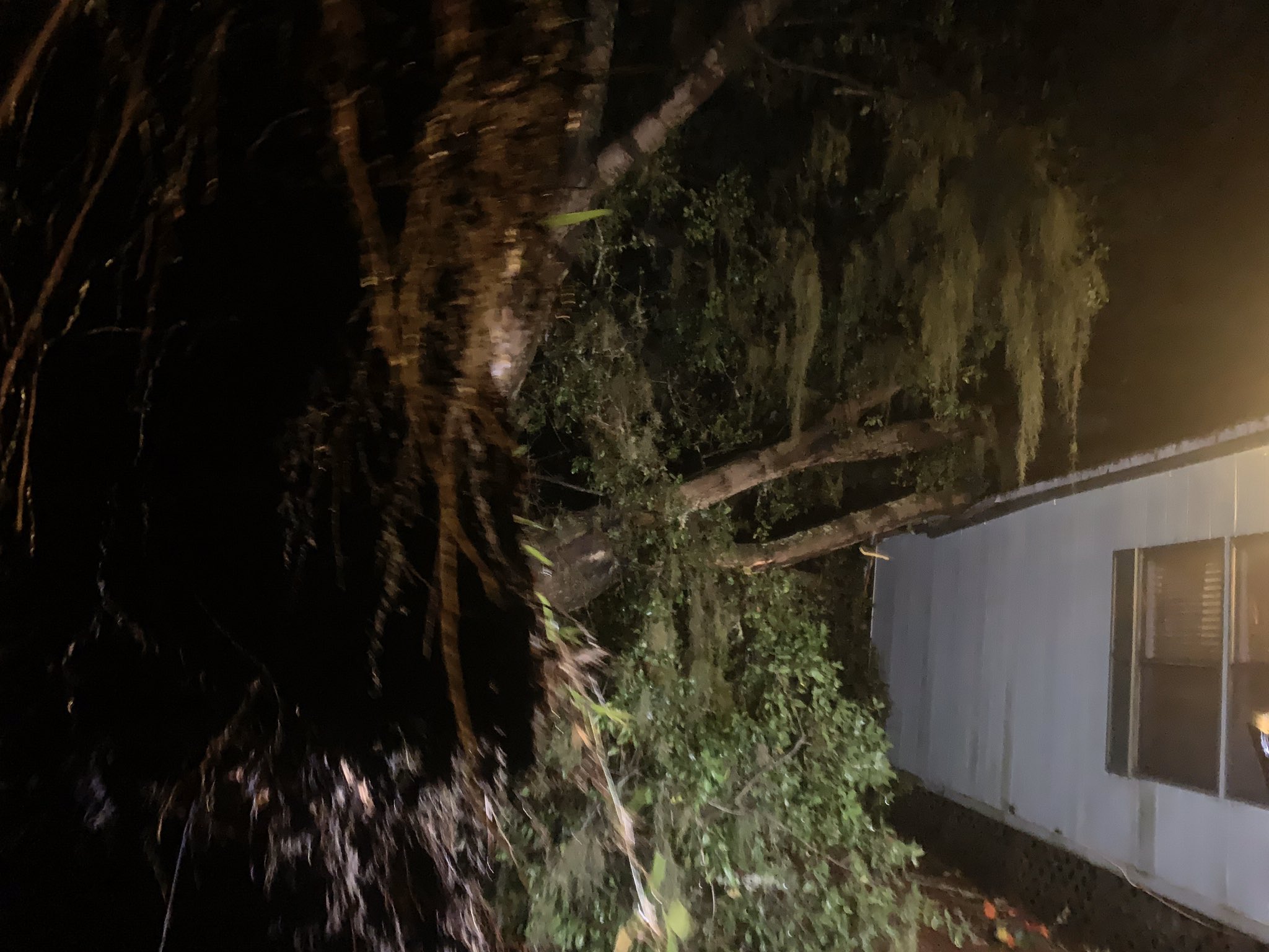 Kailey Tracy Fox 13 on Twitter: "A massive tree fell on Angela Jones’s home tonight on the ...