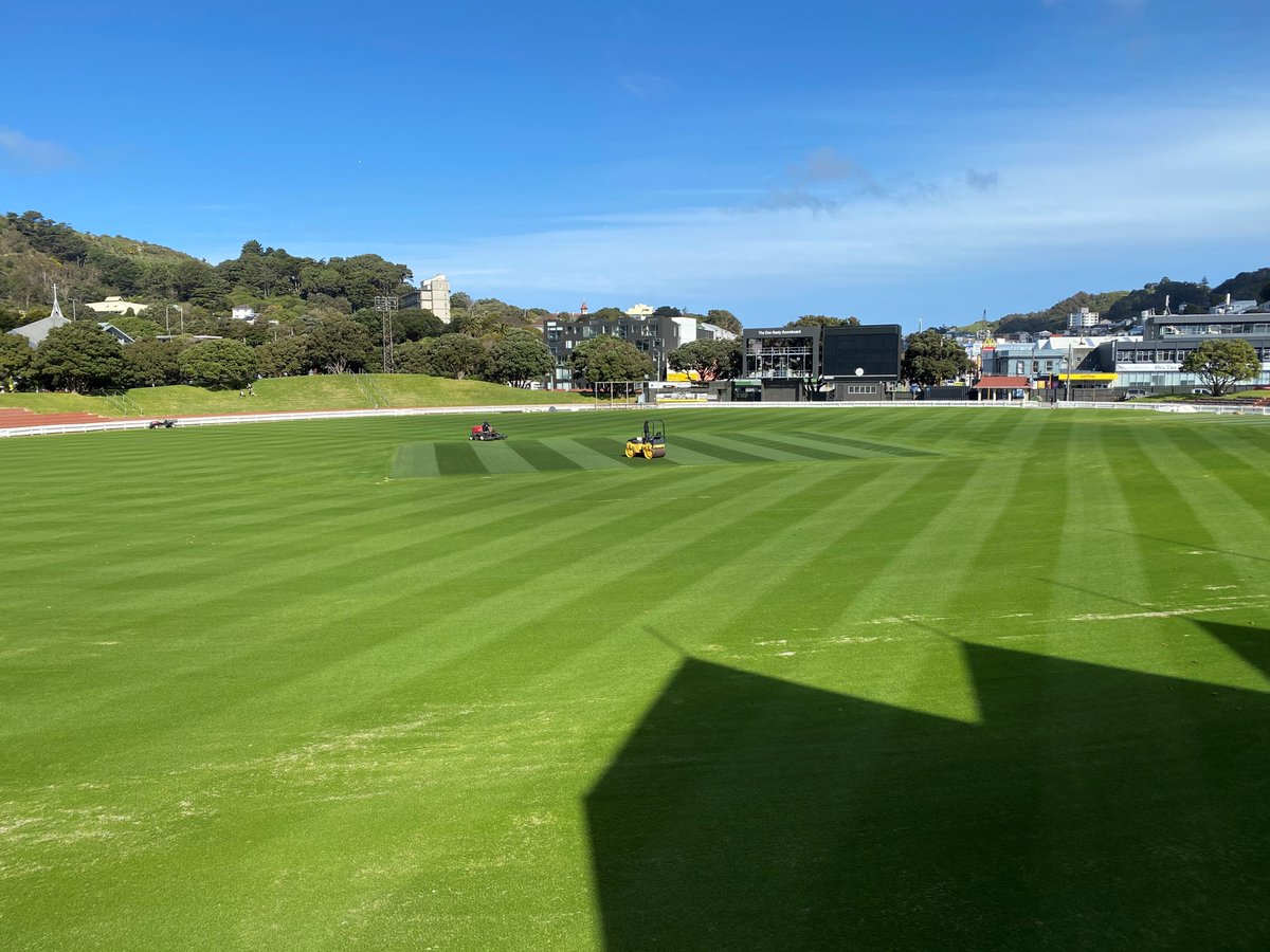 Wellington Basin Reserve | Basin Reserve wins Domestic long format ...